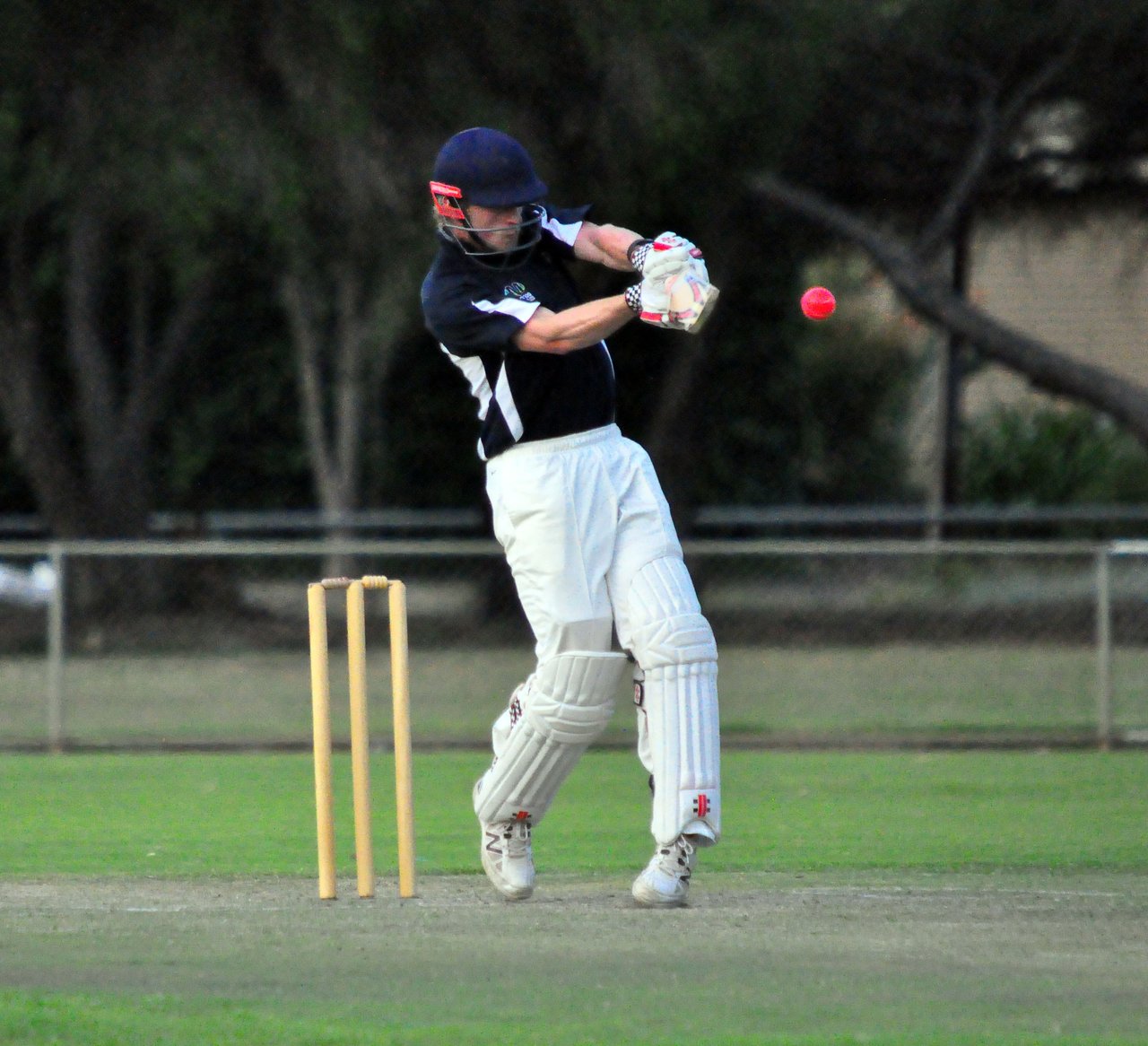 Photos - walkervillecricketclub